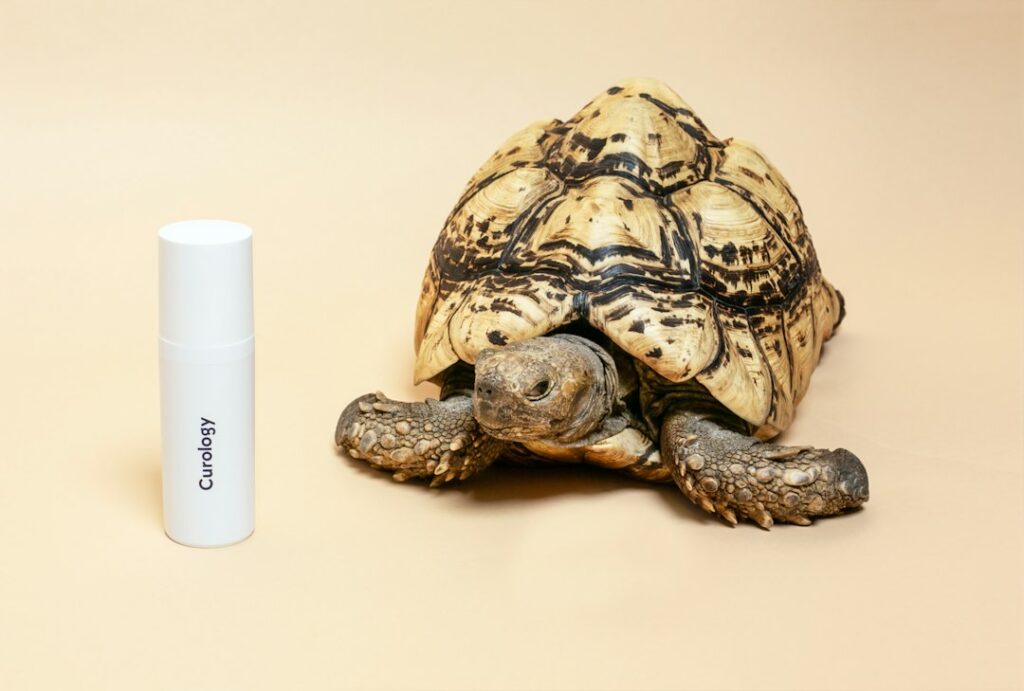 Are Turtles Good Swimmers? - Reptile Friend